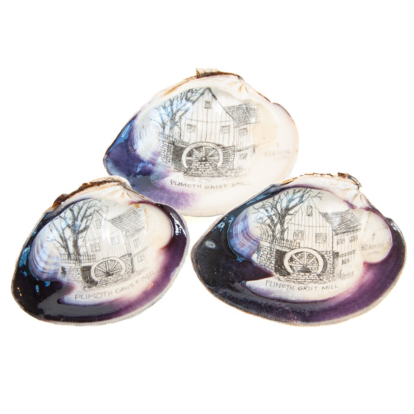 Hand-Drawn Plimoth Grist Mill Quahog Shell – Plimoth Patuxet Museum Shop