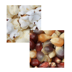 Popcorn – Plimoth Patuxet Museum Shop