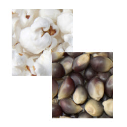 Heirloom Popcorn – Plimoth Patuxet Museum Shop